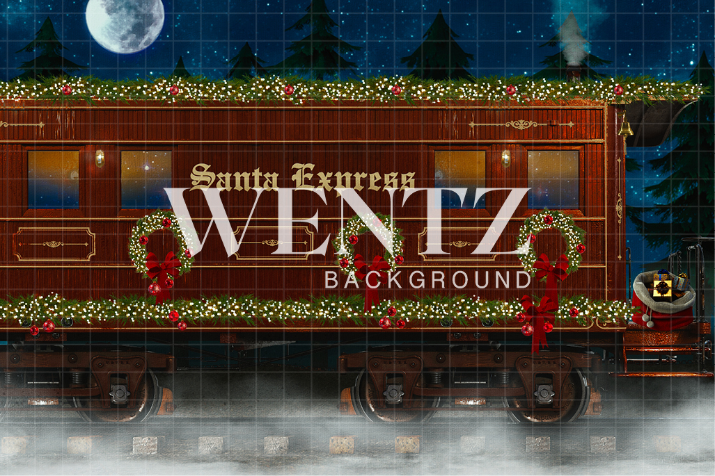 Fabric Photography Background Christmas Polar Express / Backdrop 2491