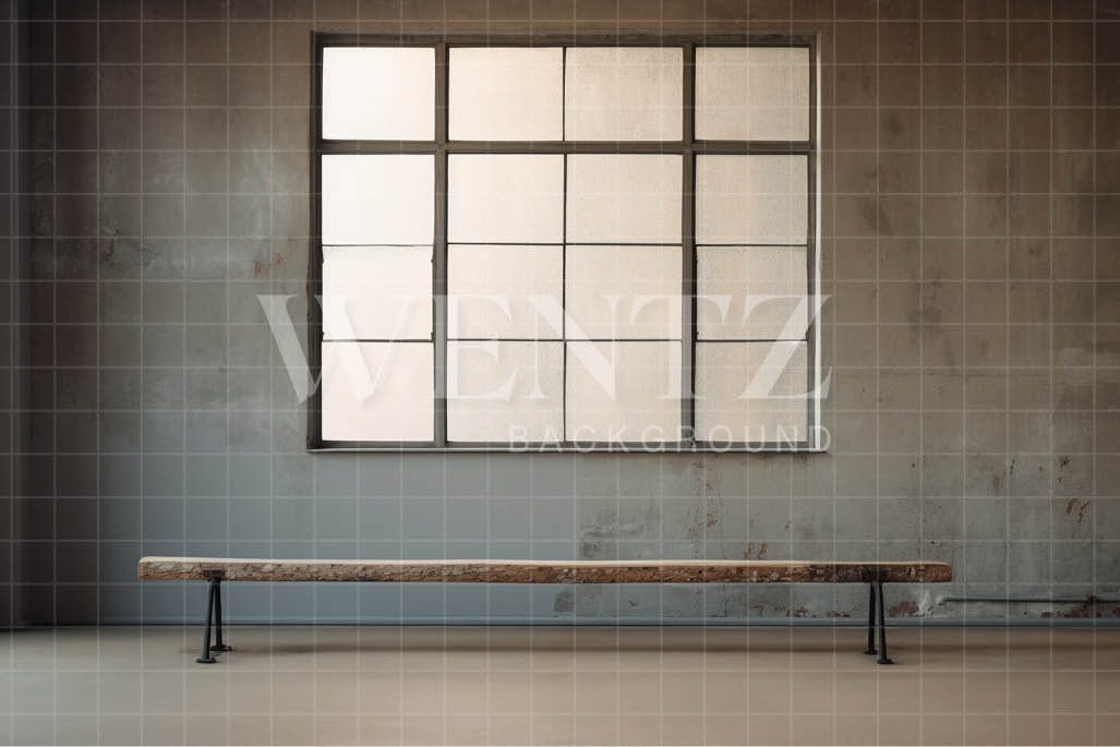 Fabric Photography Background Ballet Studio / Backdrop 4366