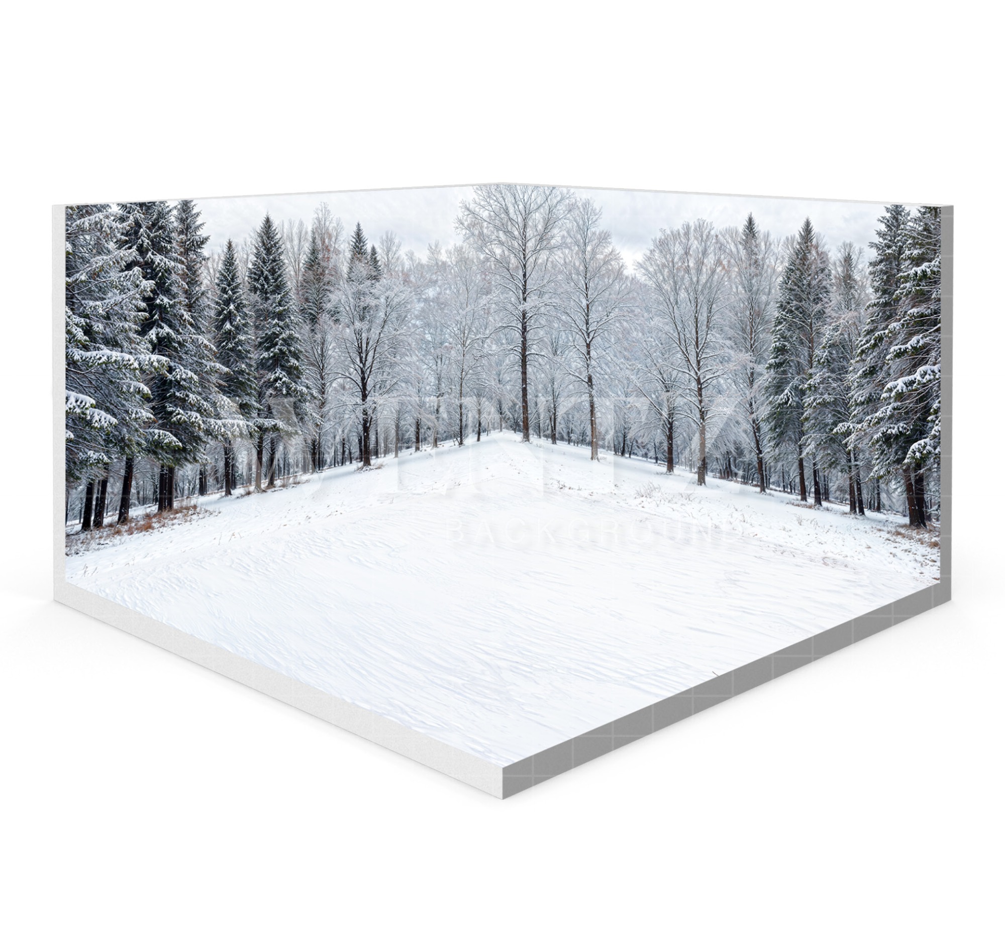 Photography Background in Fabric Christmas Forest Set 3D / WTZ